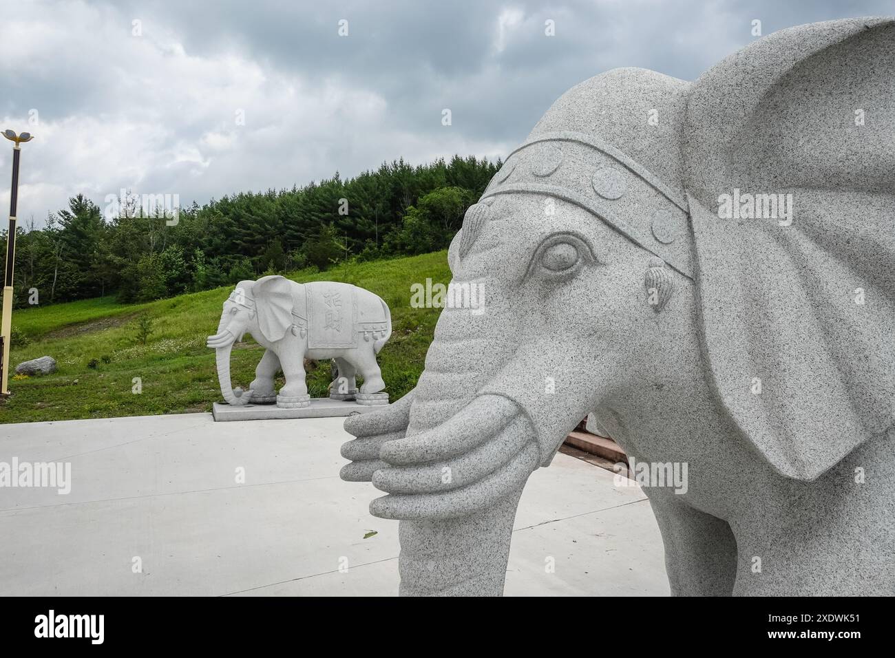 Symbolize strength hi-res stock photography and images - Alamy