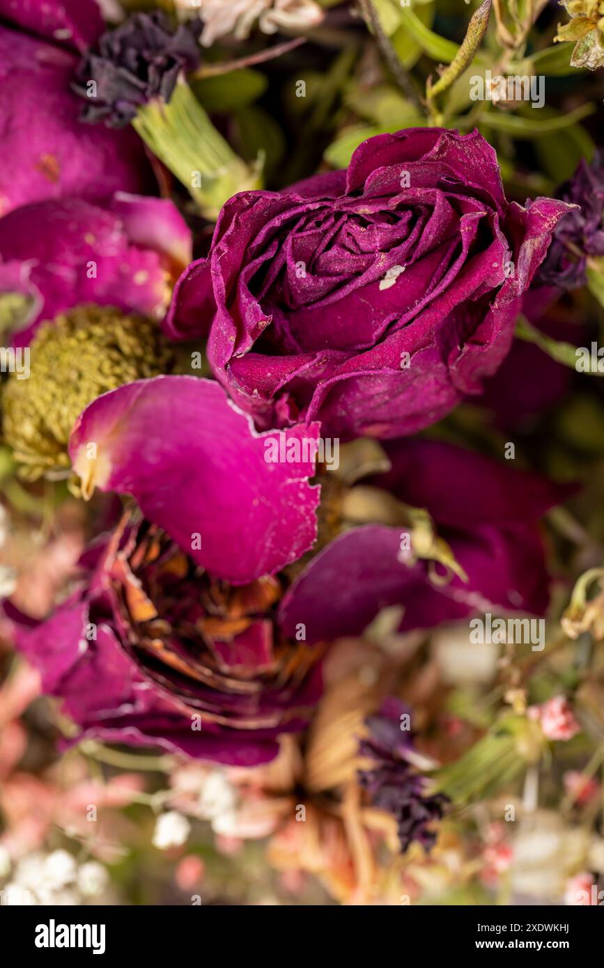 different dried flowers in a bouquet, an old dried bouquet for a gift ...