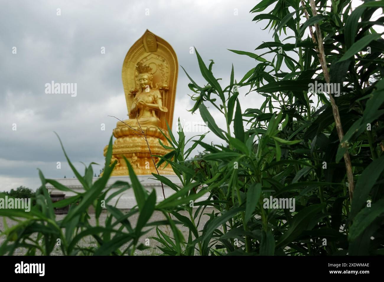 13 meter high bronze statue with gilding surface, located in the North ...