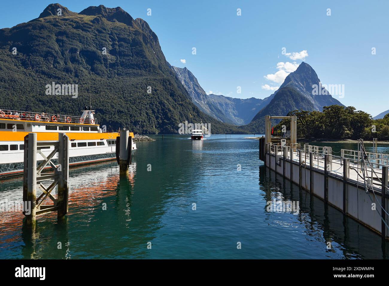 Landscape in New Zealand Fjordland, Milford Sound Stock Photo - Alamy