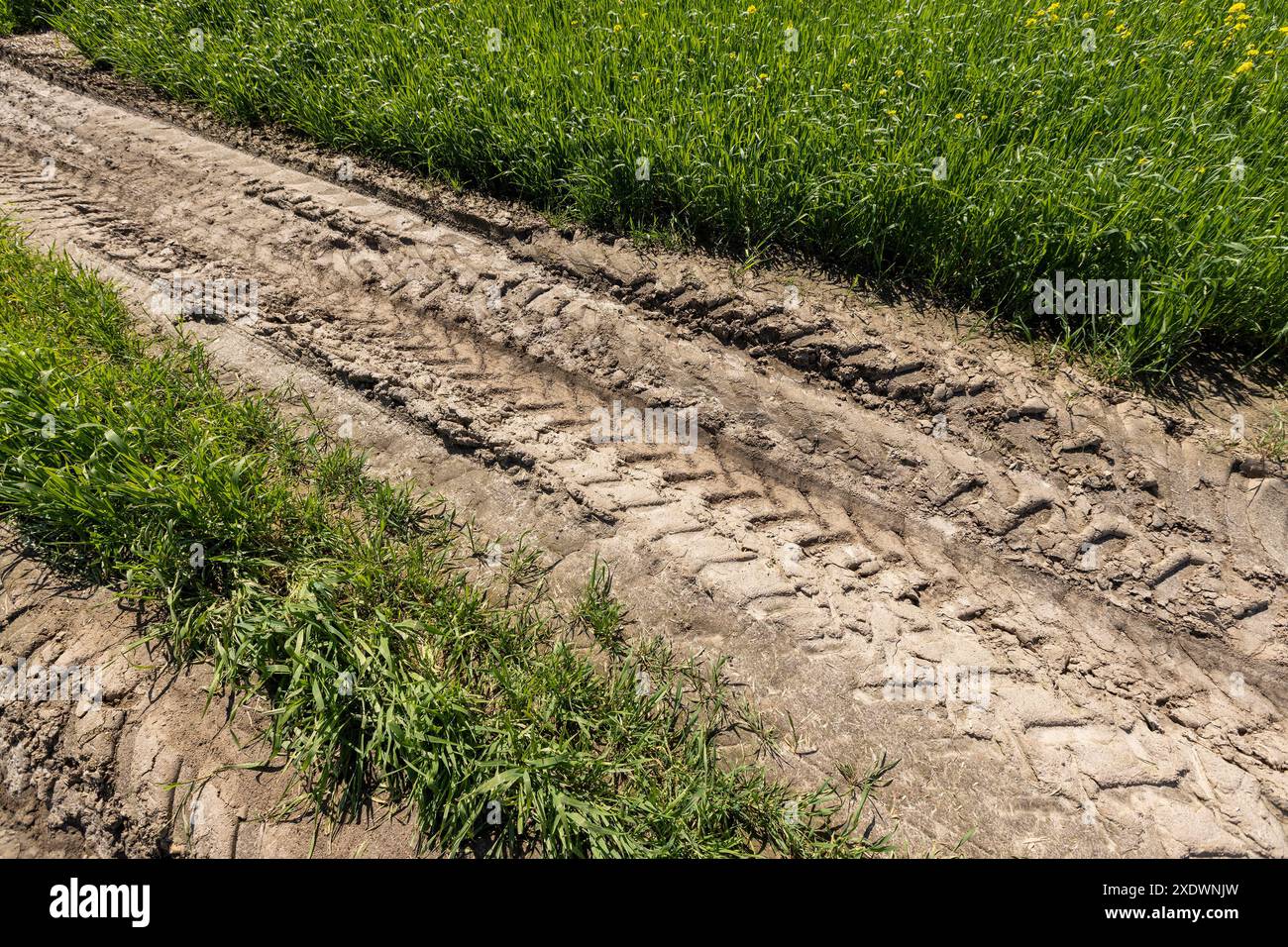 Empty field in rural areas hi-res stock photography and images - Alamy