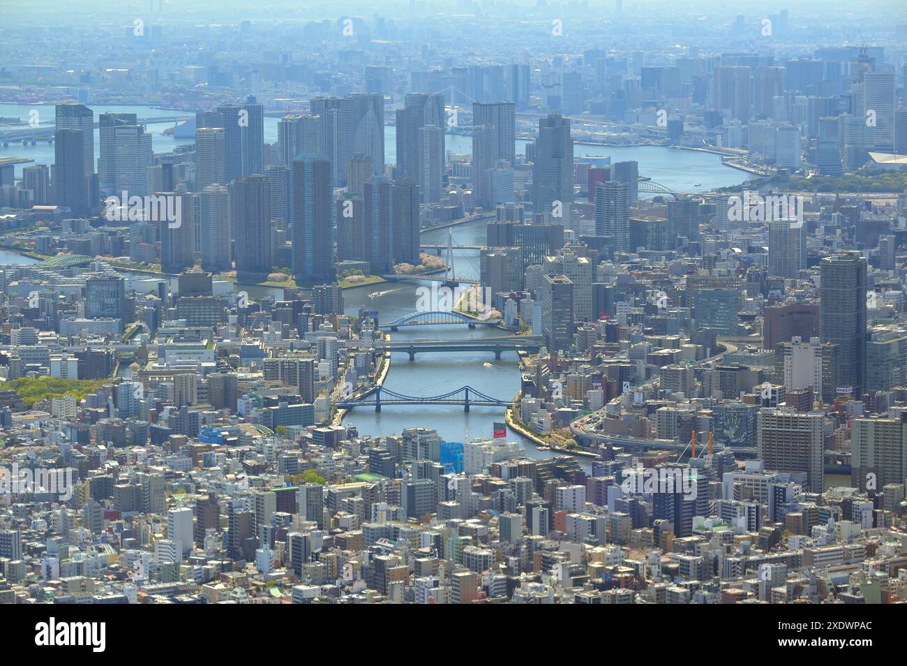The Japanese capital is a global megacity, Tokyo JP Stock Photo - Alamy