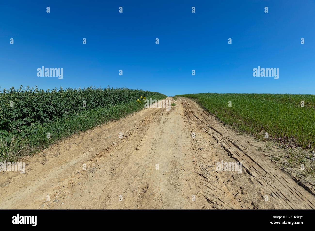 Empty field in rural areas hi-res stock photography and images - Alamy