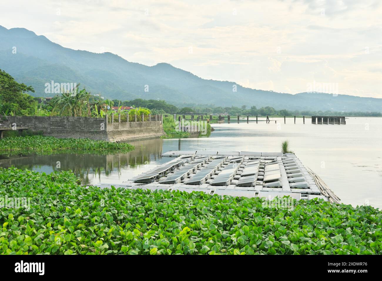 Los Banos, Laguna, Philippines - June 19, 2024: Solar panels floating ...