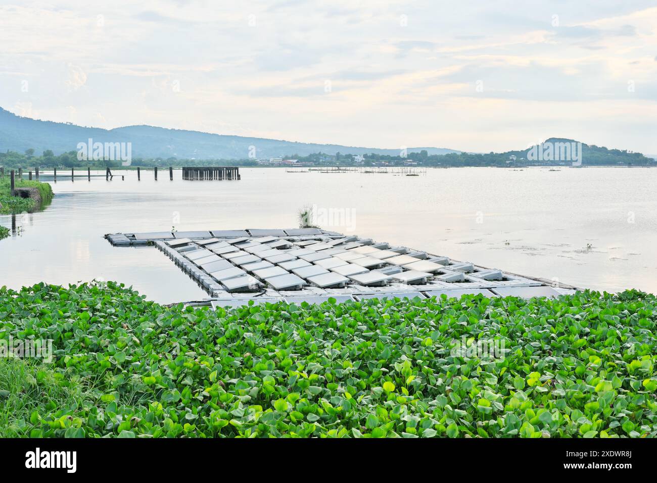 Los Banos, Laguna, Philippines - June 19, 2024: Solar panels floating ...
