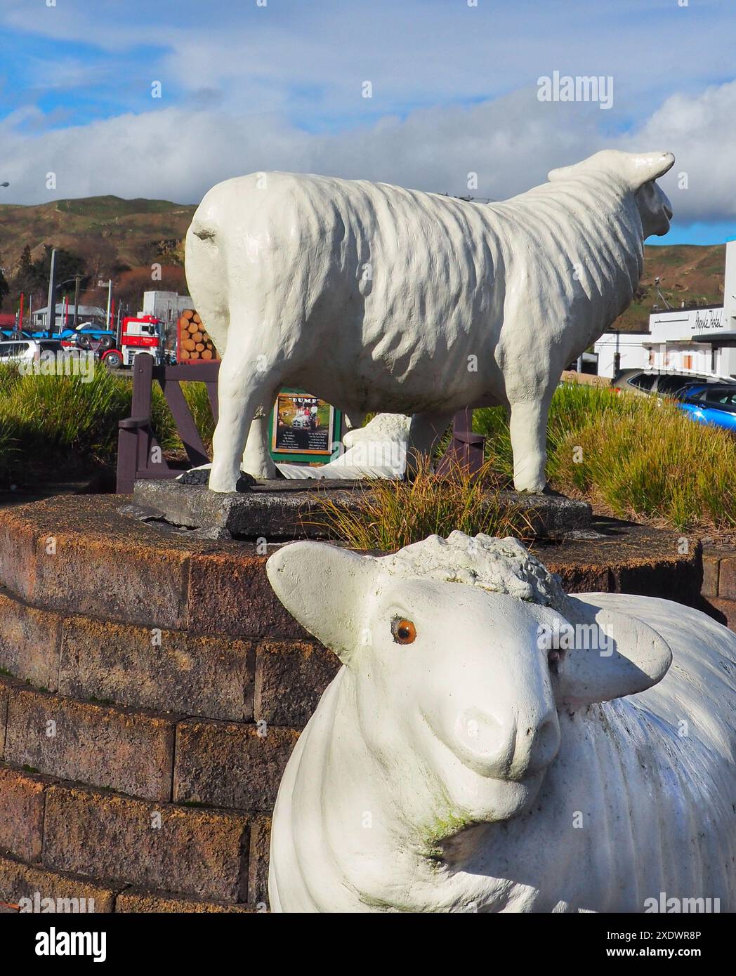 Cheerful life size Romney sheep sculptures in the middle of a street in ...
