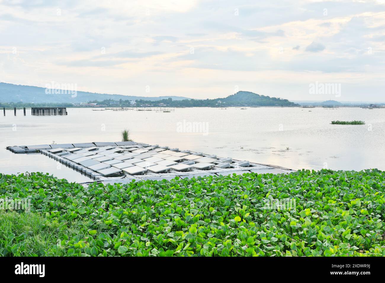 Los Banos, Laguna, Philippines - June 19, 2024: Solar panels floating ...