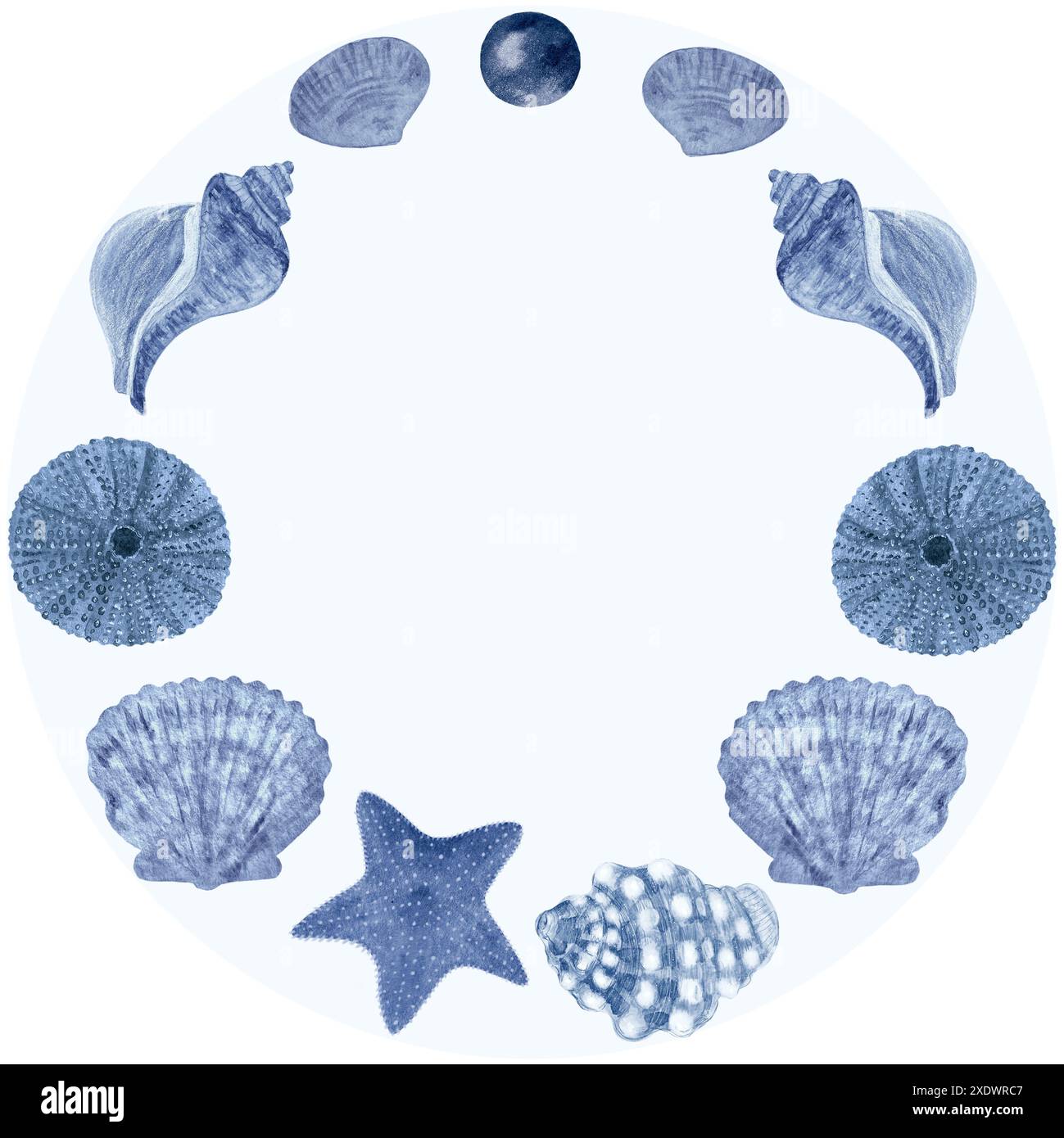 Shell frame monochrome in blue watercolor hand-drawn isolated on white ...