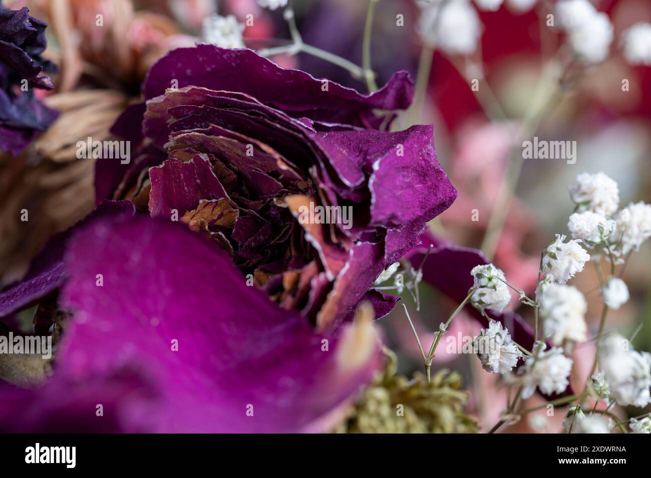 different dried flowers in a bouquet, an old dried bouquet for a gift ...
