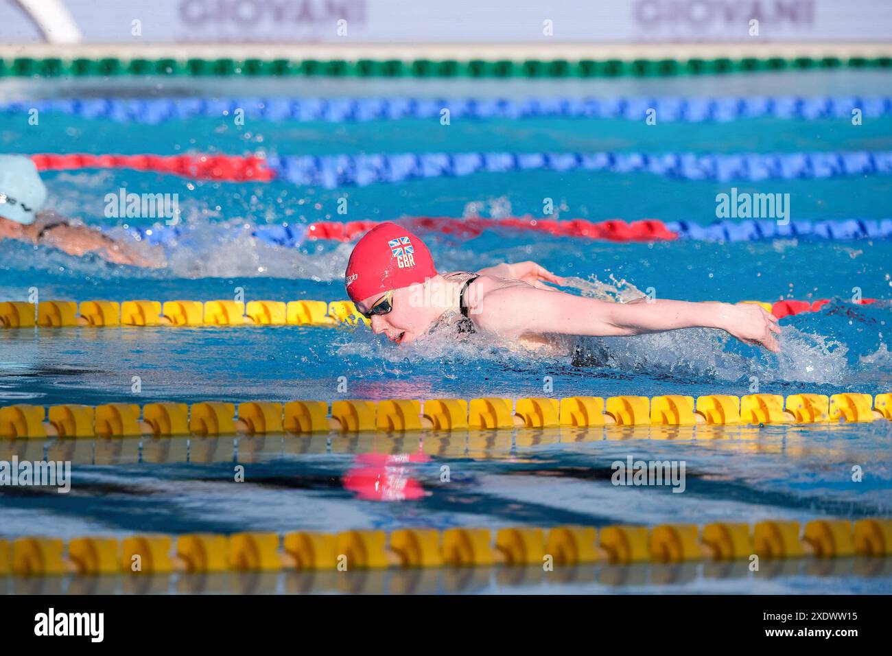 Jane stephens hi-res stock photography and images - Alamy