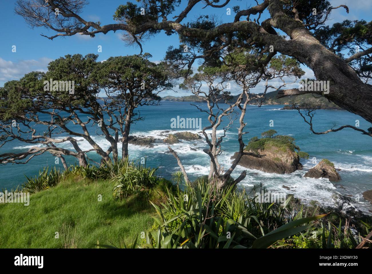 Elliot bay hi-res stock photography and images - Alamy