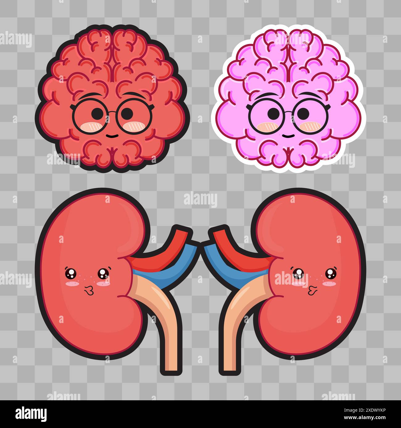 Cute Brian and Kidney Sticker Stock Vector Image & Art - Alamy