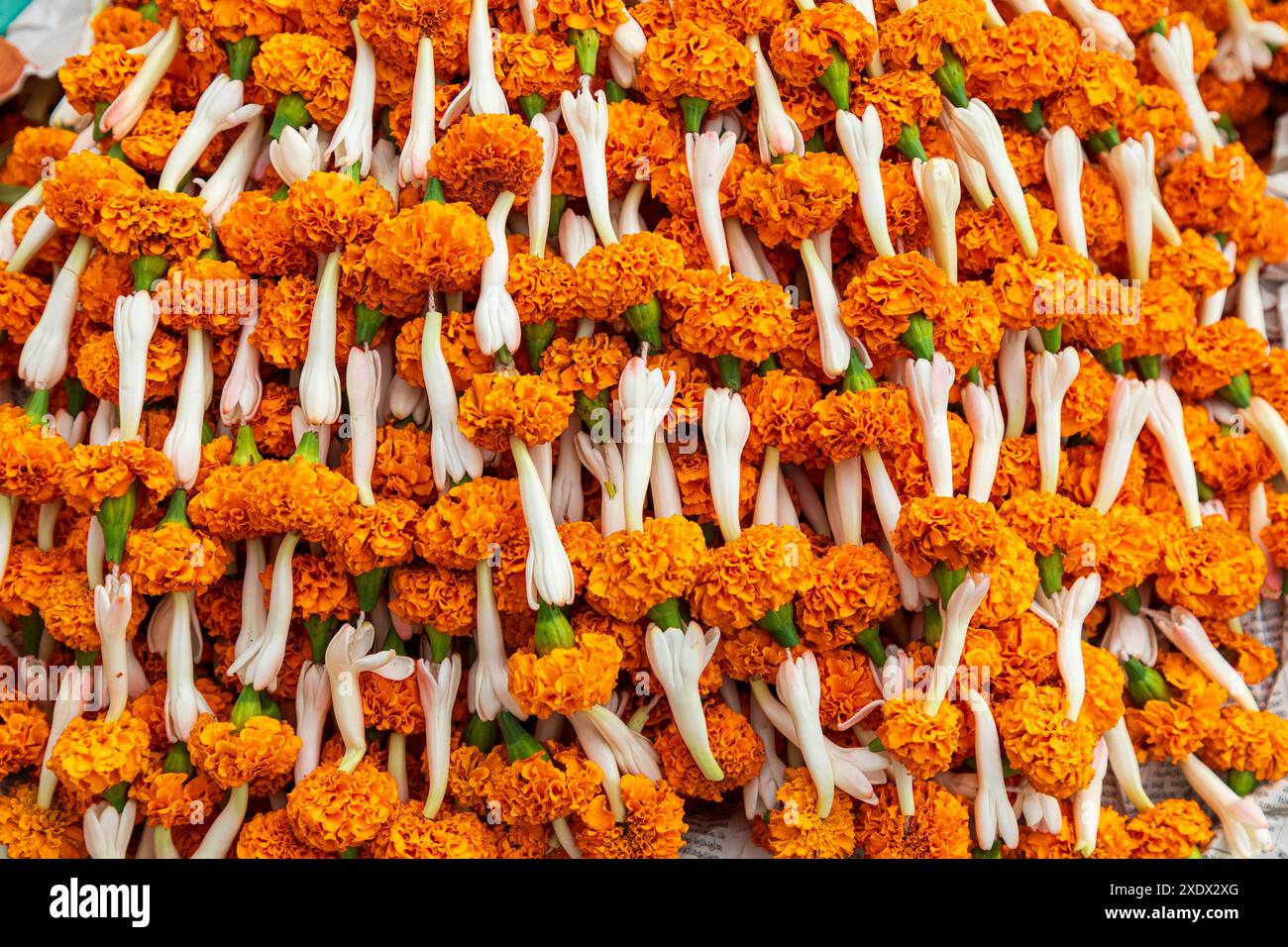 India, West Bengal, Kolkata, Jorasanko. Marigolds for sale Stock Photo ...