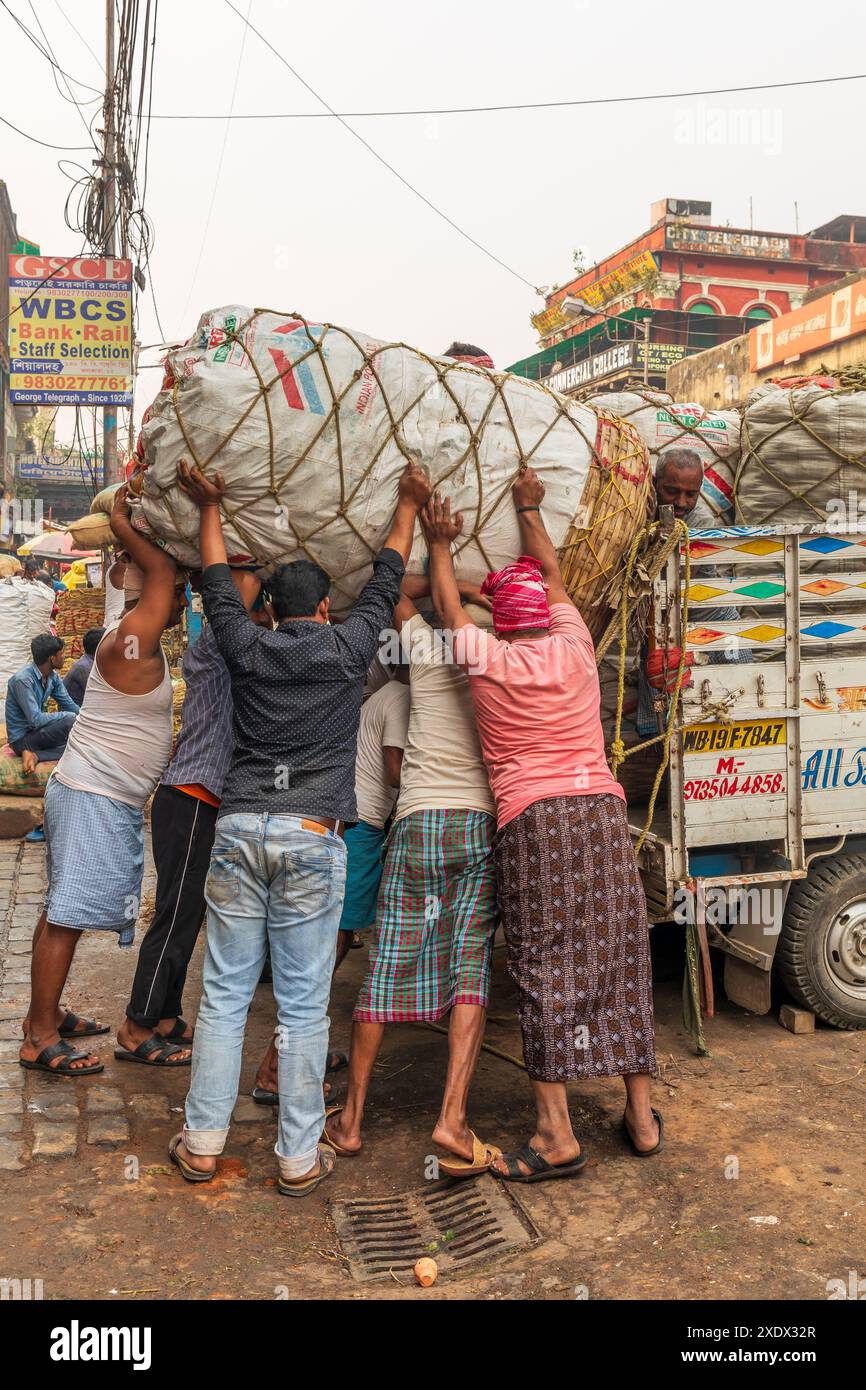 India, West Bengal, Kolkata, Bow Bazaar. Men working together to lift a ...