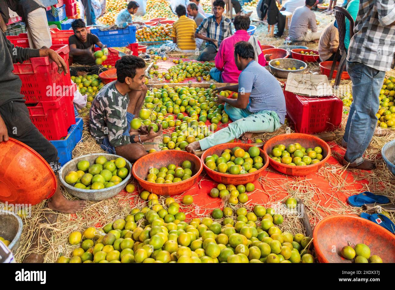 India, West Bengal, Kolkata, Jorasanko. Fruit sellers Stock Photo - Alamy
