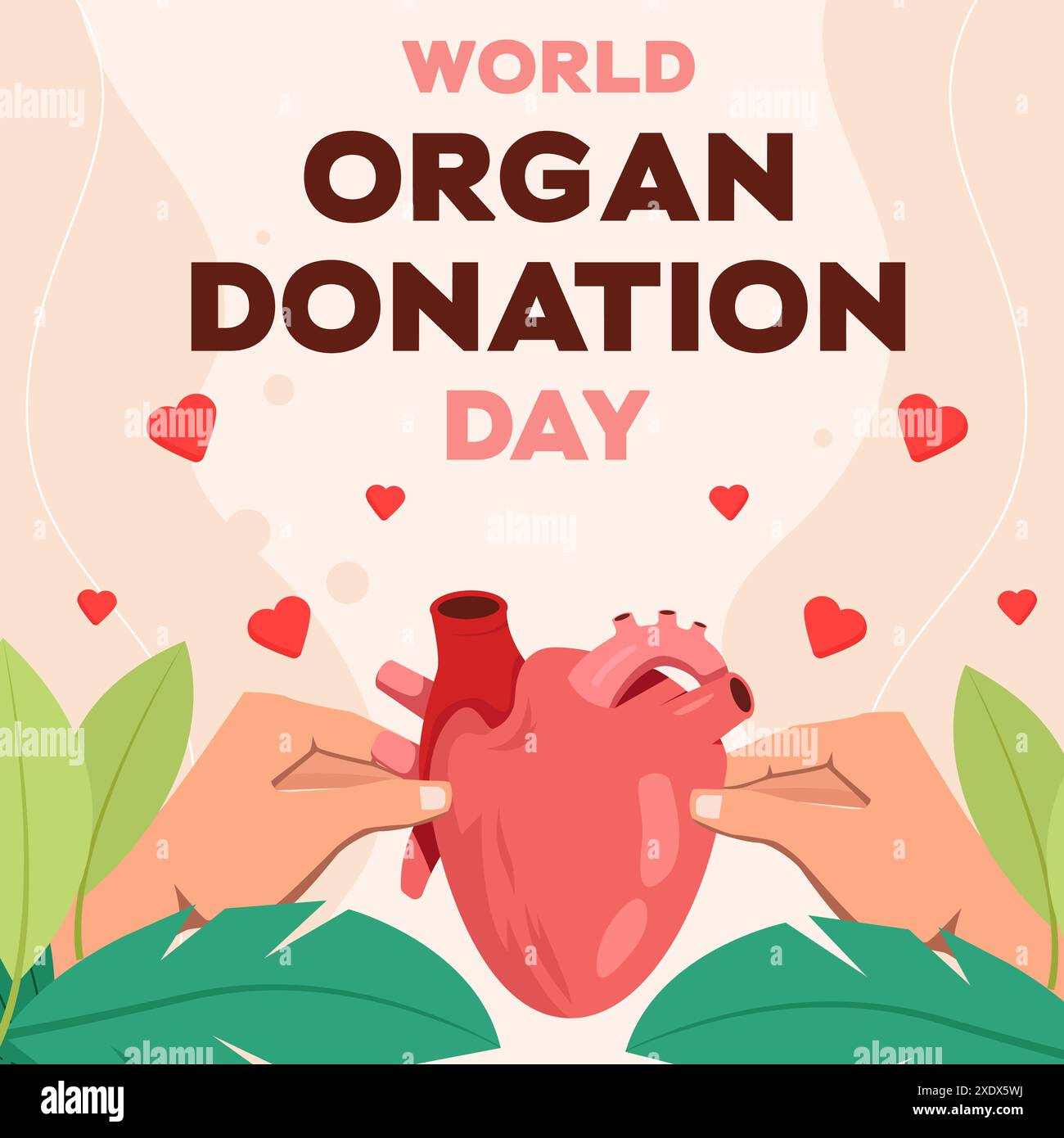 Body donation Stock Vector Images - Alamy