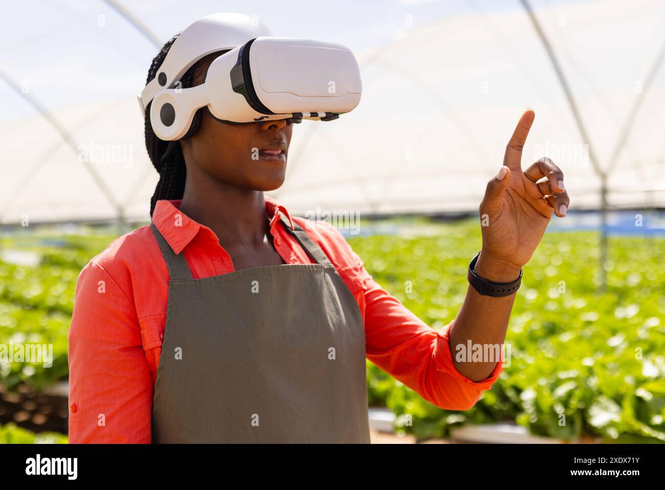 Using VR headset, female farmer managing hydroponic vegetable farm in ...