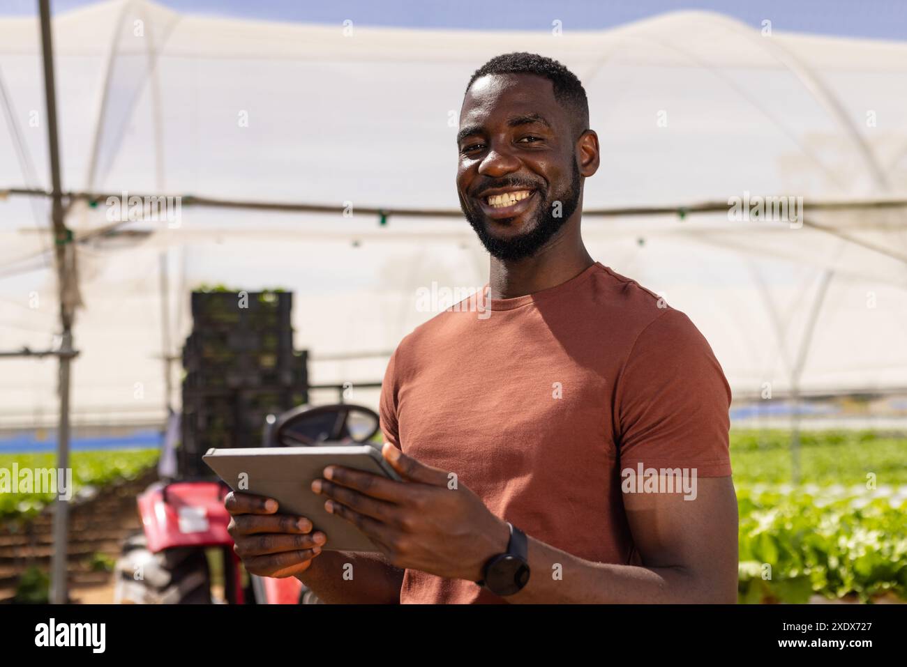 African American farmer using tablet for managing hydroponic farm ...