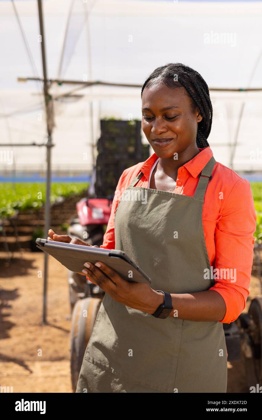 African American female farmer using tablet for managing hydroponic ...