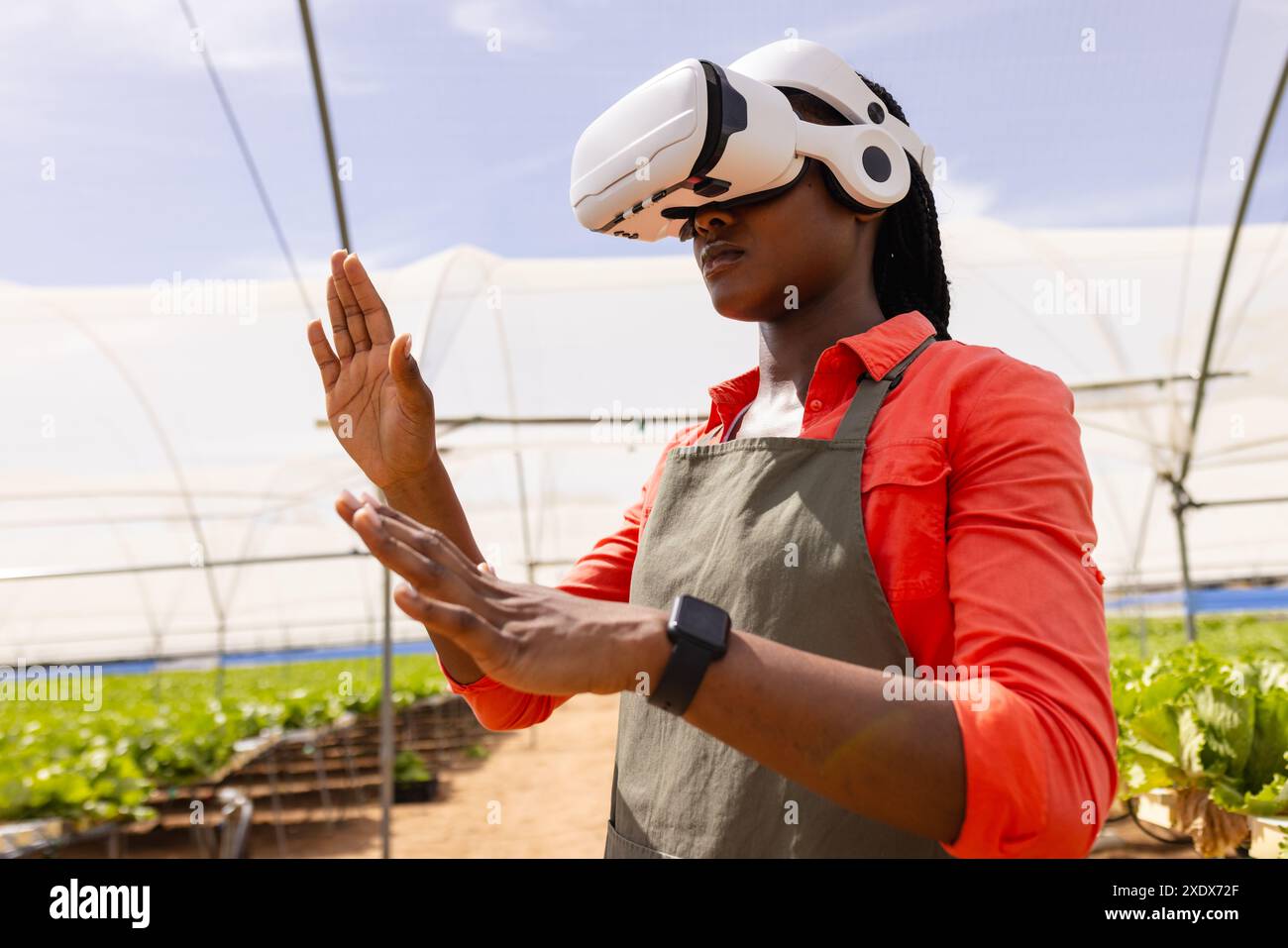 Using VR headset, farmer in apron managing hydroponic farm in ...