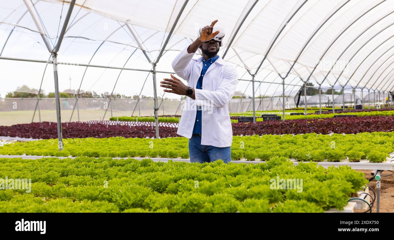 Farmer in greenhouse inspecting hydroponic vegetables and pointing at ...