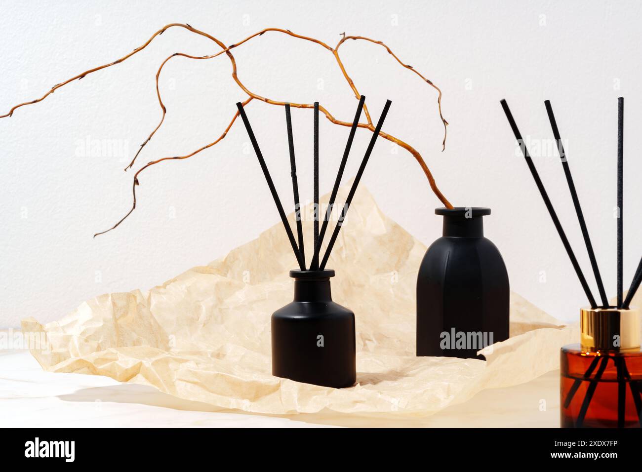 Black Glass Diffuser Bottles With Reed Sticks and Dried Twigs on Cream ...