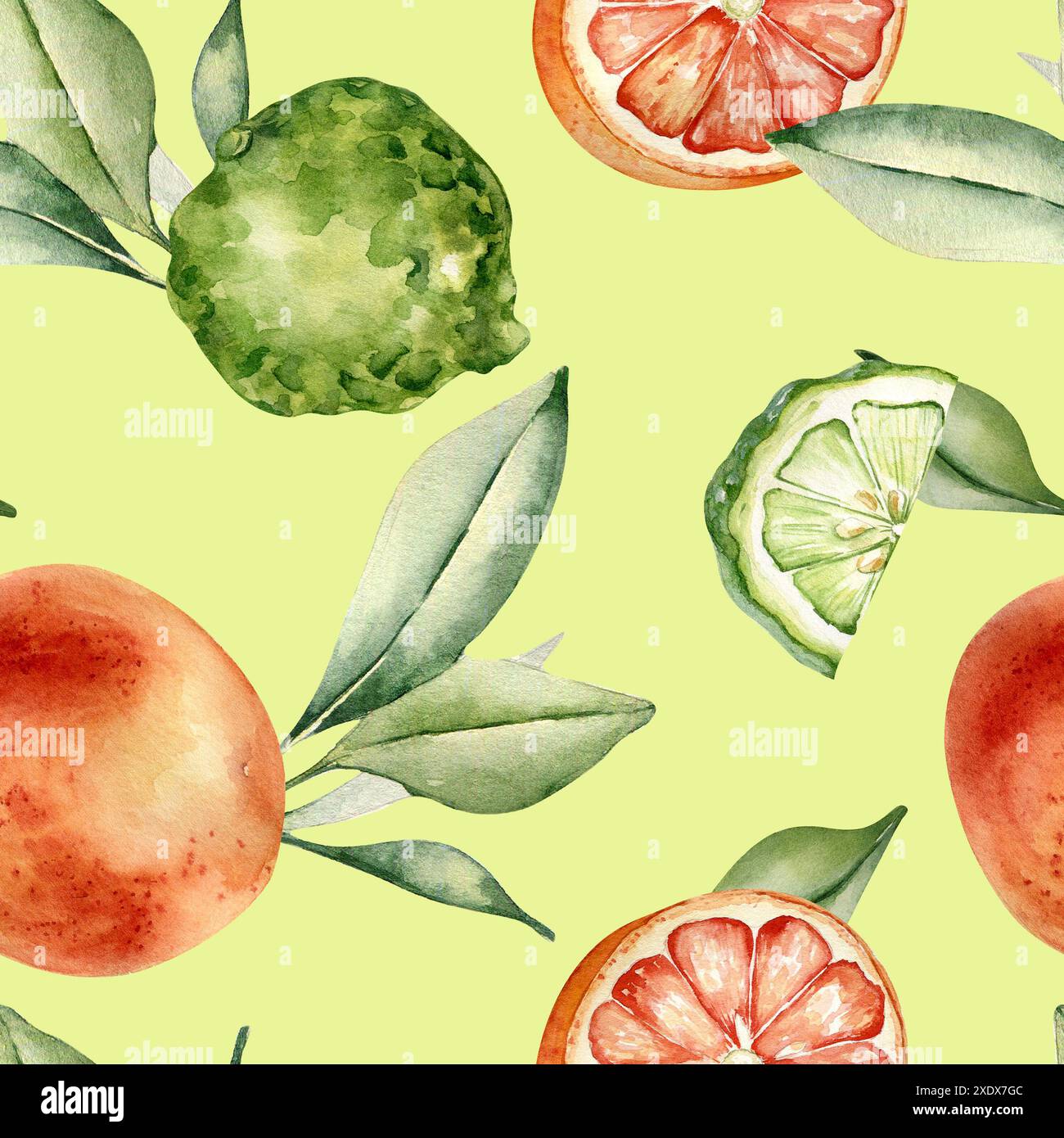 Grapefruit and bergamot citrus fruits with leaves watercolor seamless pattern isolated. Hand ...