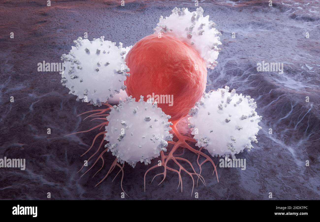 Biological lymphocytes and cancer cell, 3d rendering. 3D illustration ...