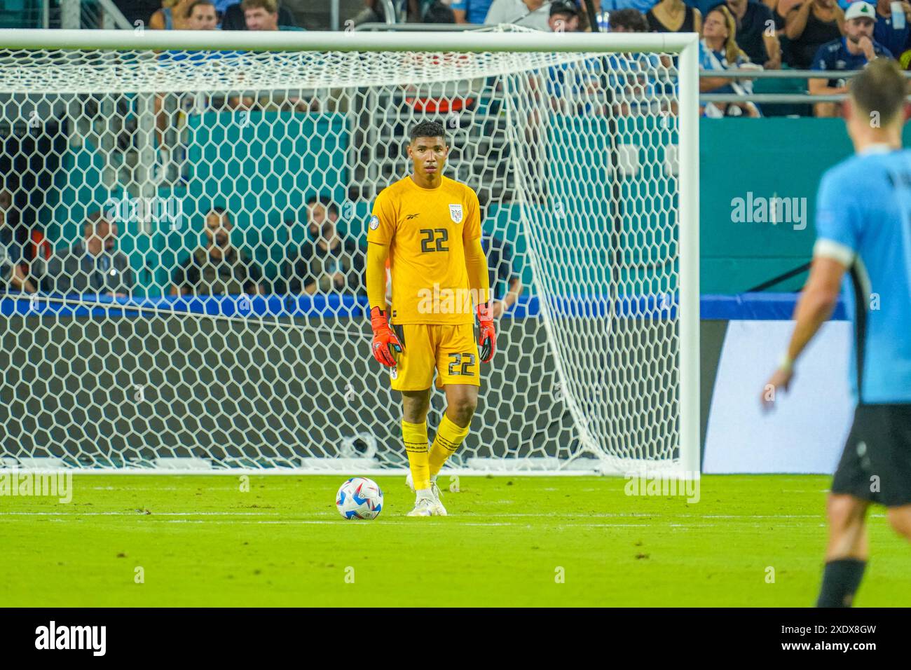 Panama vs usa copa america 2024 hi-res stock photography and images - Alamy