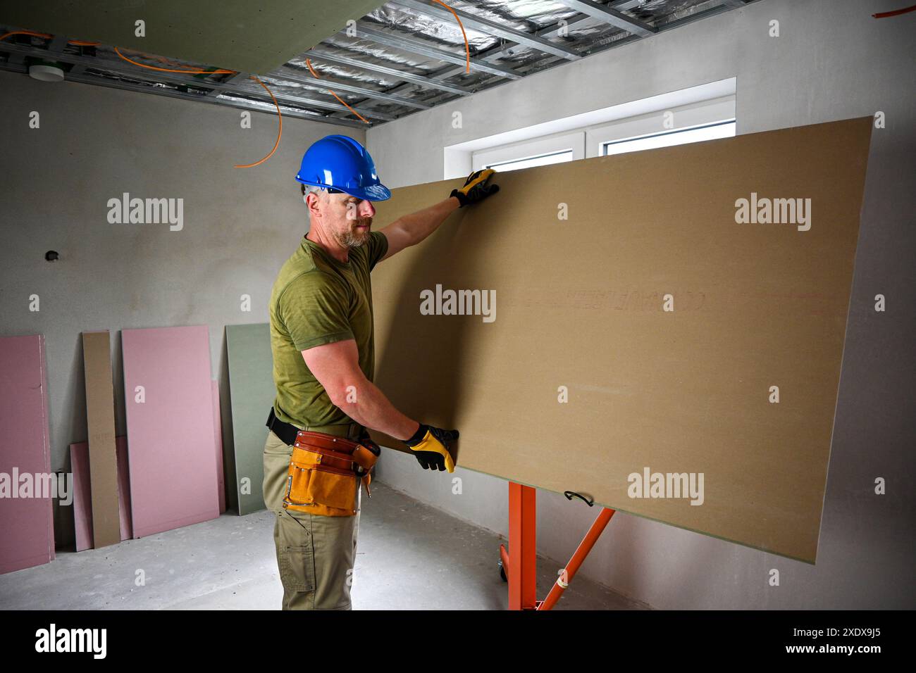 Construction worker carrying a large plasterboard with the help of a ...