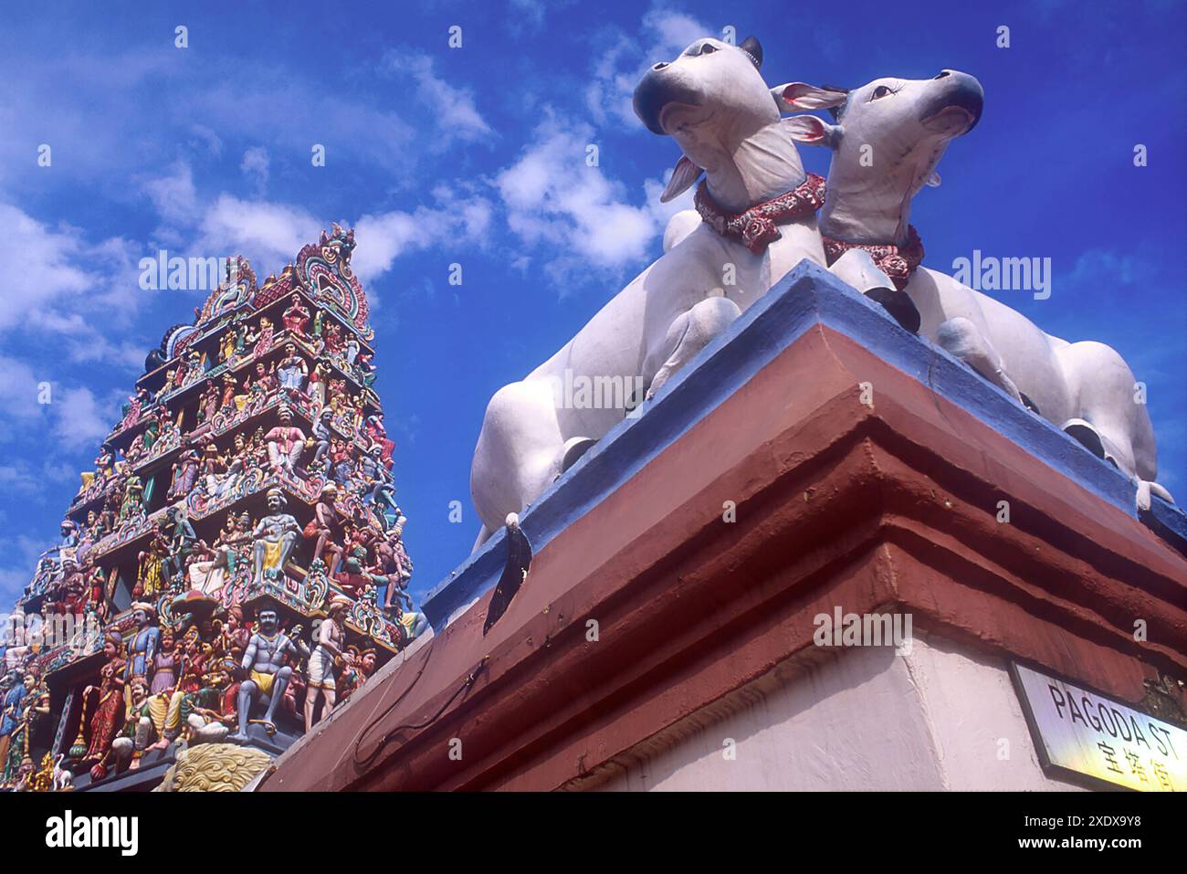 Gopuram tower with cows and gaudy deities, taken in 2003, Sri Mariamman ...