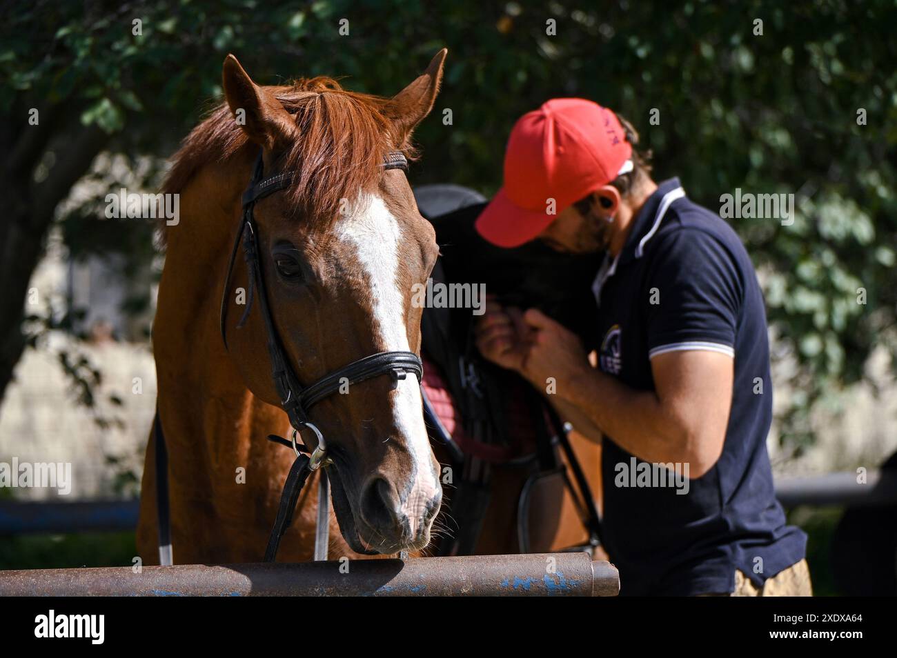 Non Exclusive: LVIV, UKRAINE - JUNE 21, 2024 - Equestrian club ...