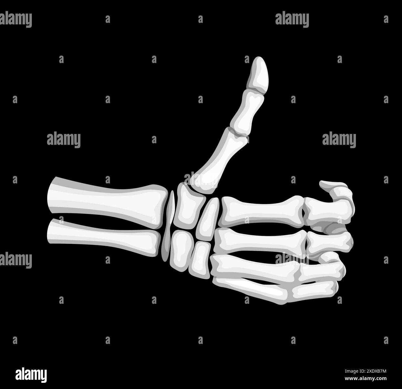 Arm raised anatomy Stock Vector Images - Alamy
