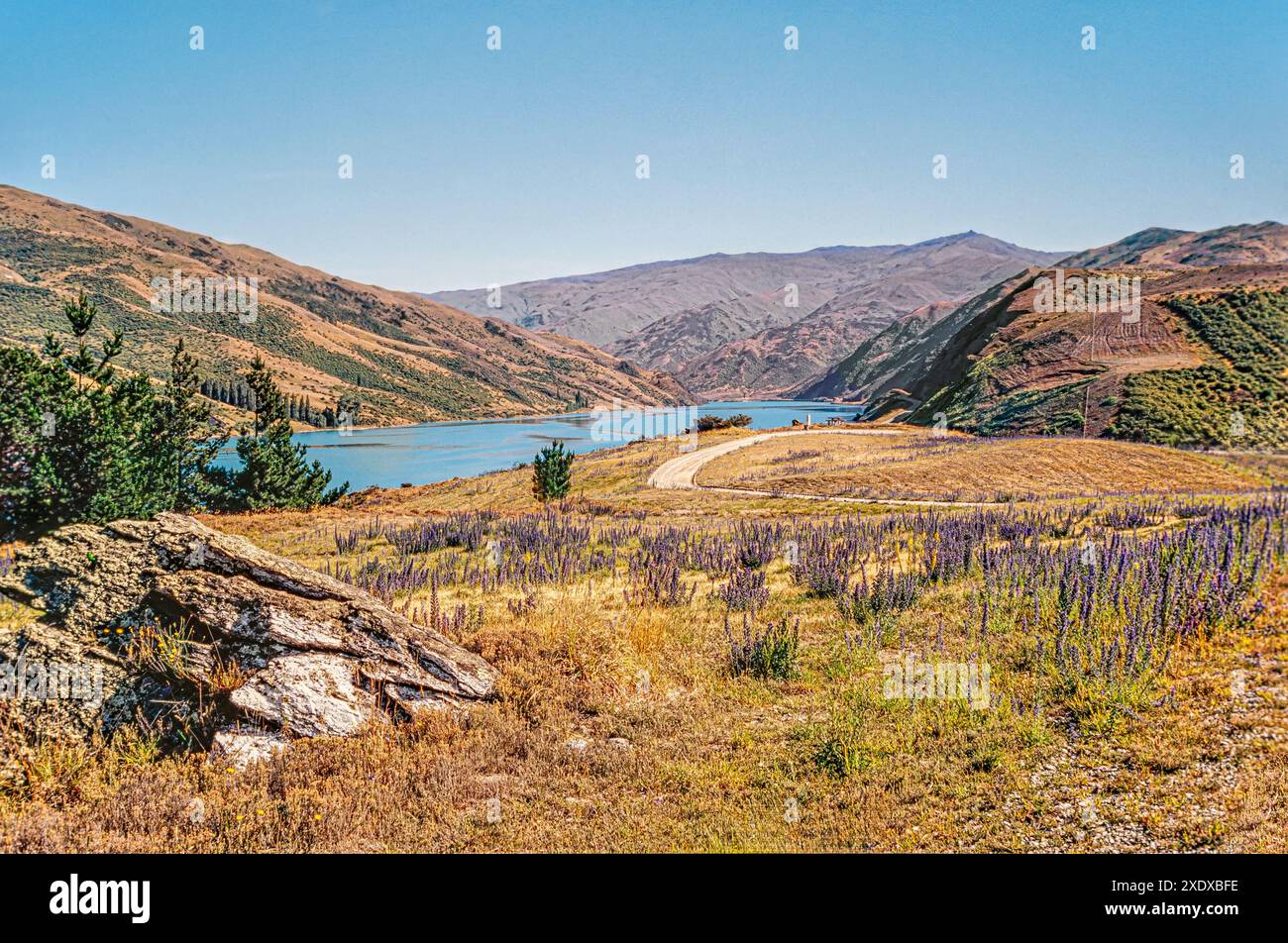 Summer Landscape at Lake Wanaka, Central Otago, New Zealand Stock Photo ...