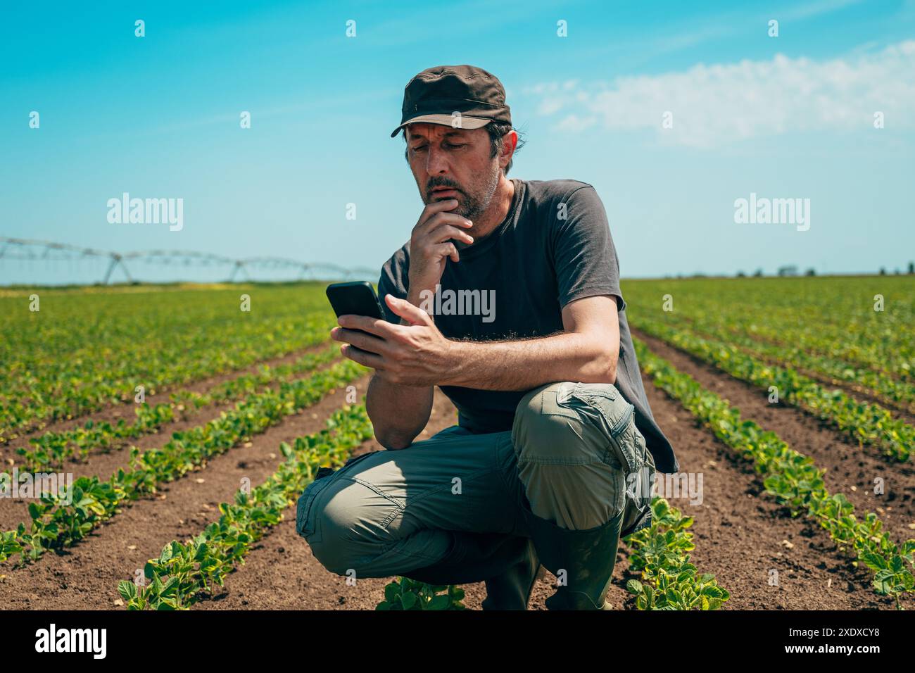 Squatting farm worker using hi-res stock photography and images - Alamy