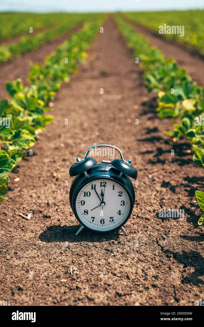 Alarm clock in cultivated soybean crop field, crop protection and time ...