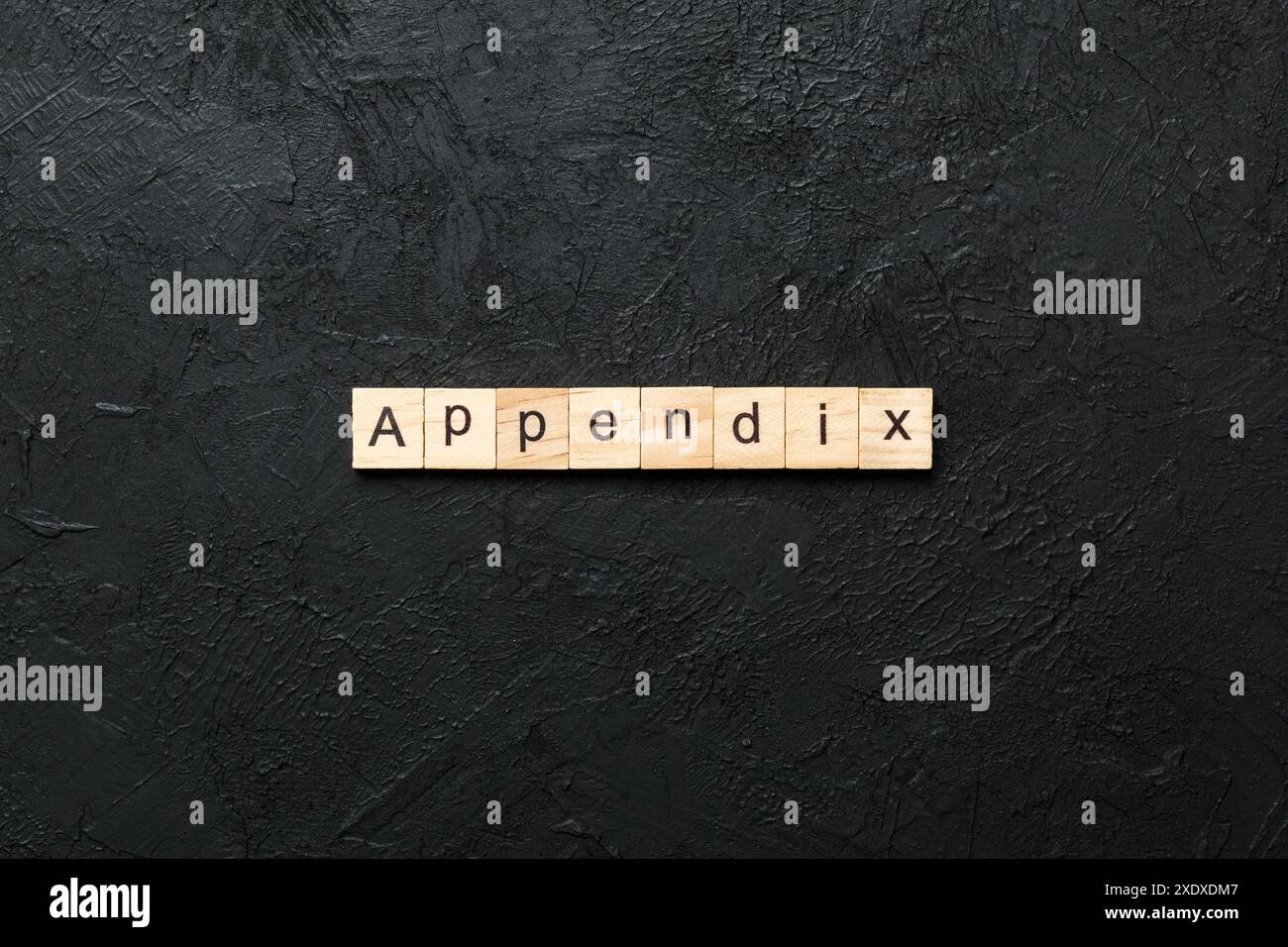 appendix word written on wood block. appendix text on table, concept ...