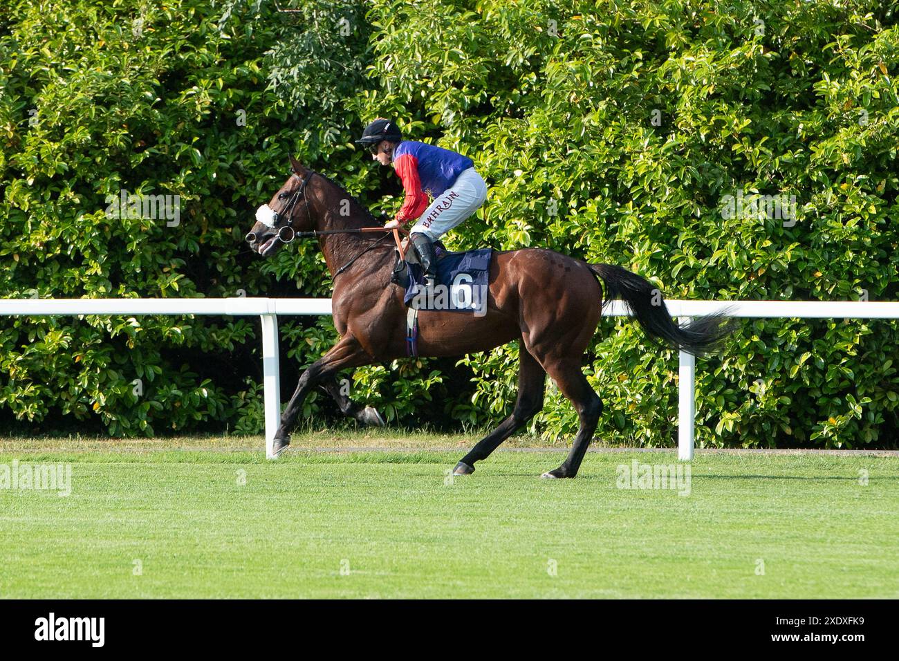 Andrew balding queen hi-res stock photography and images - Alamy