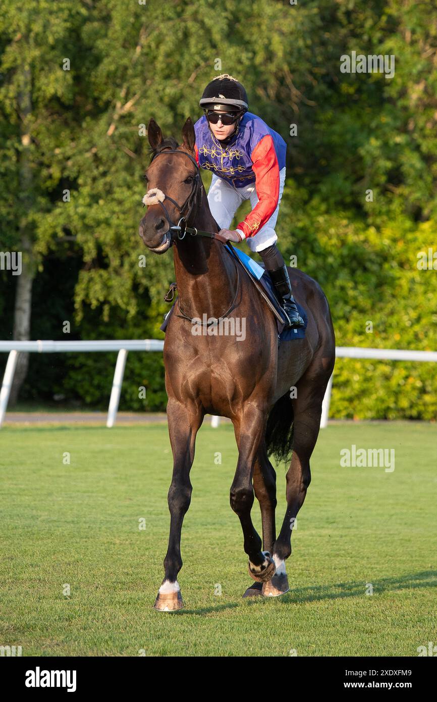 Jockey in queens silks hi-res stock photography and images - Alamy