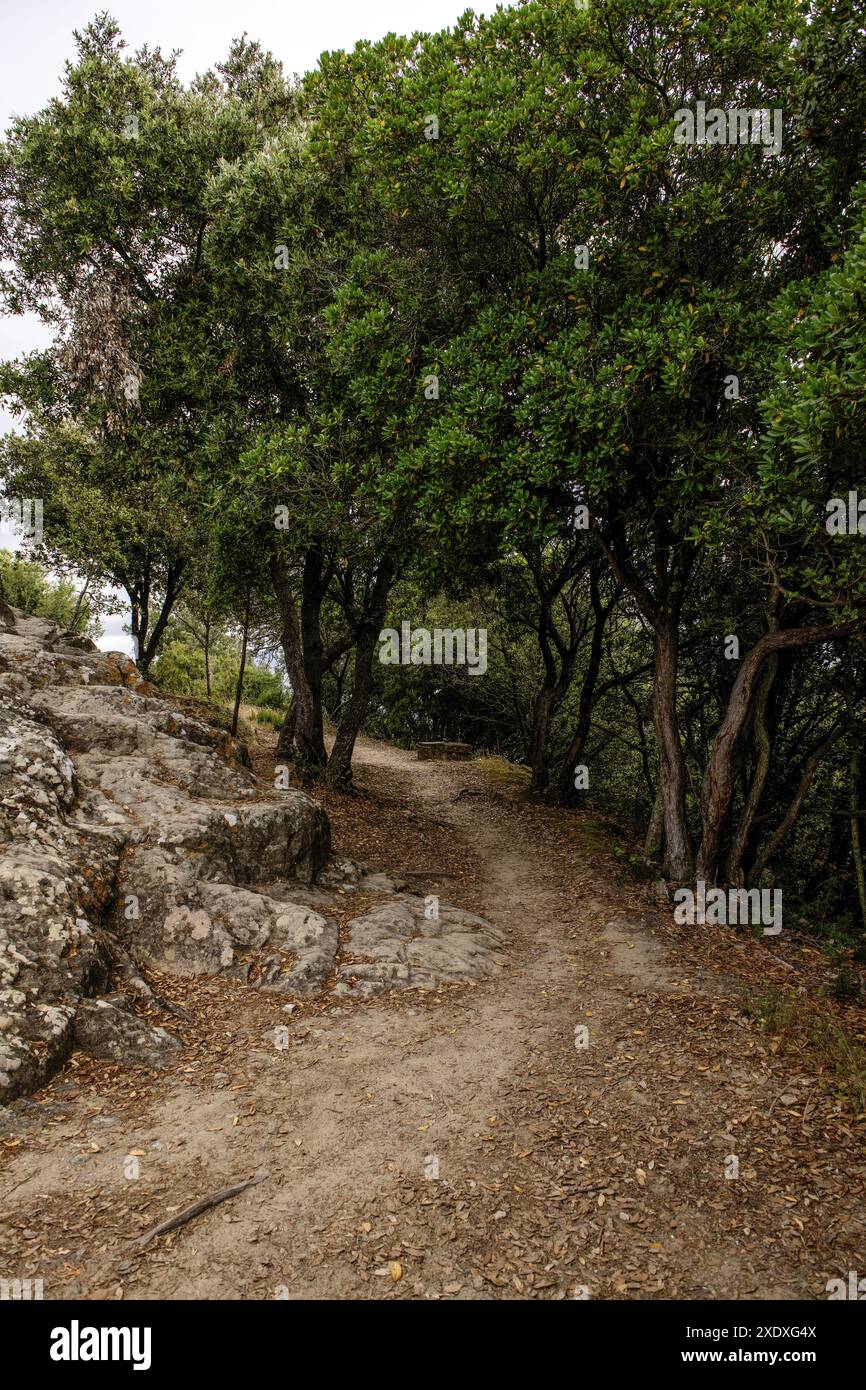 Wilderness walk photo hi-res stock photography and images - Alamy