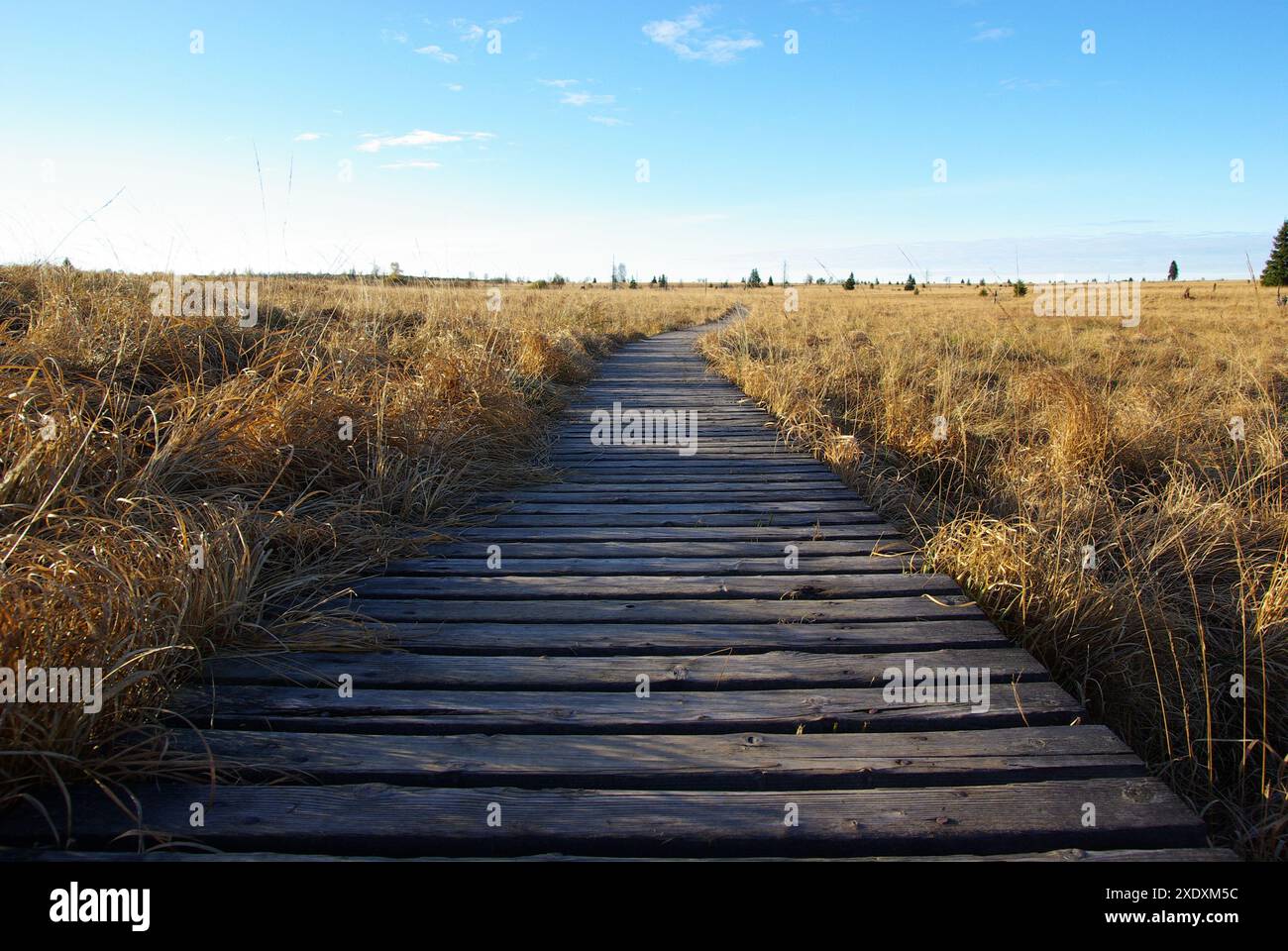 High Fens Nature Park near Baraque-Michel in Belgium (Hautes Fagnes ...