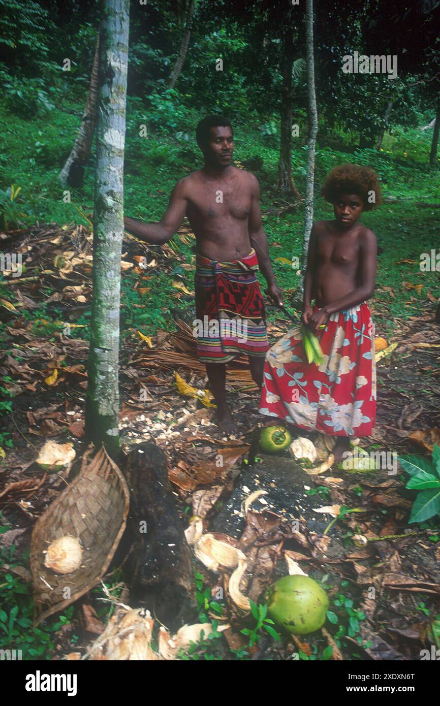 Father and daughter harvesting coconuts, taken in 1999, Toga Village ...