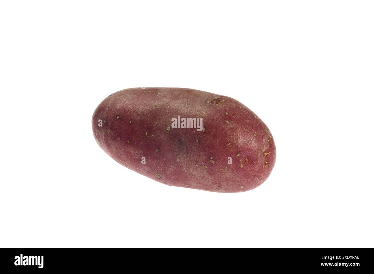 Oval potatoes hi-res stock photography and images - Alamy