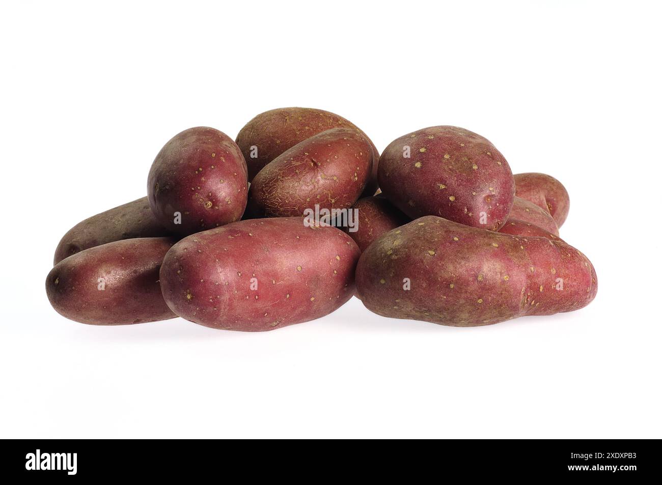 Oval potatoes hi-res stock photography and images - Alamy