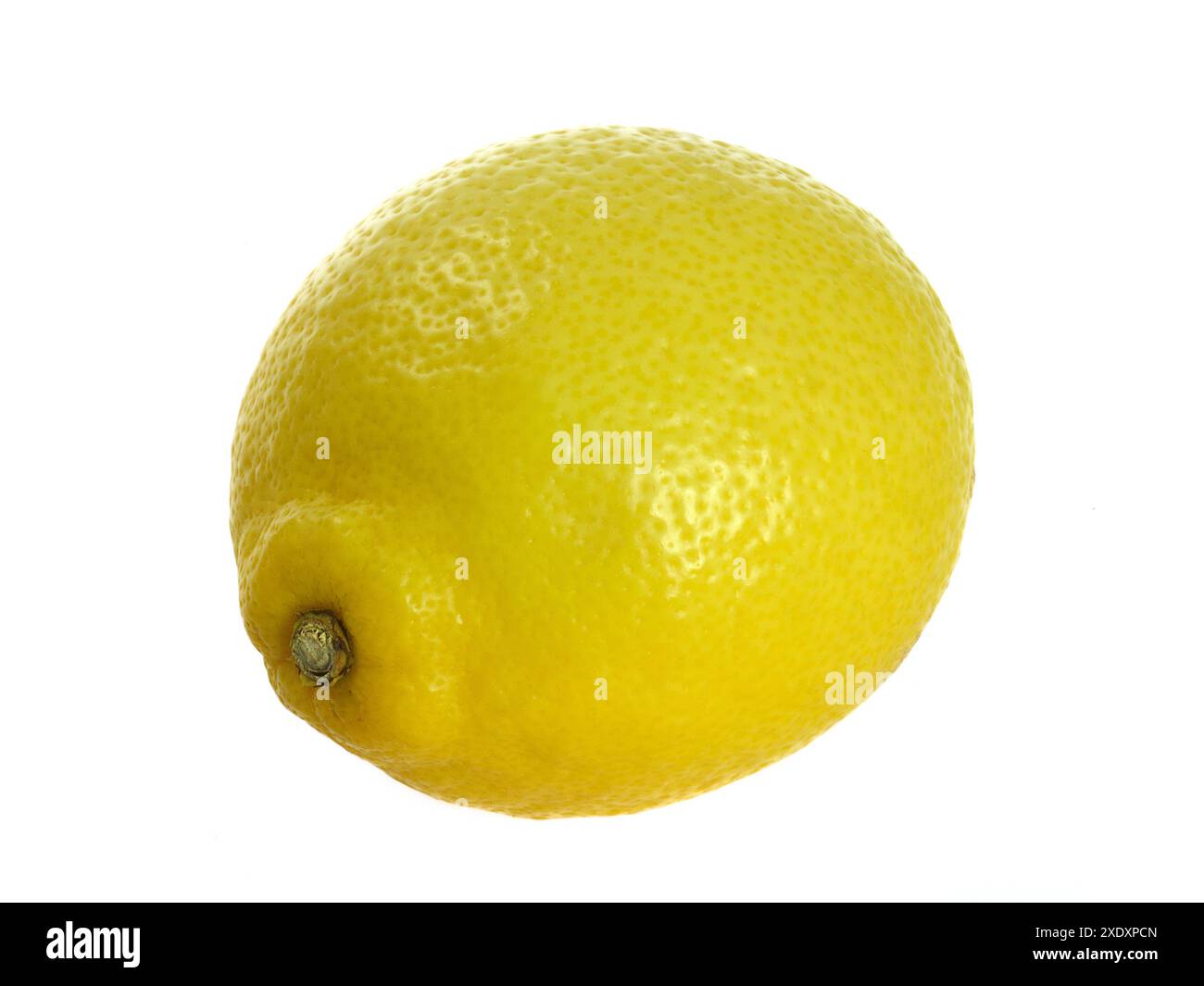 Zitrone aufgeschnitten hi-res stock photography and images - Alamy