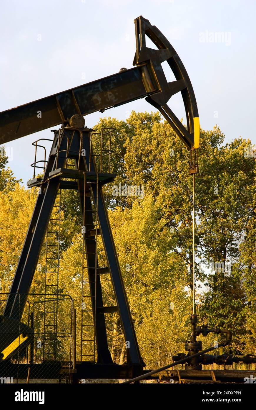 Horse head pump Stock Photo - Alamy