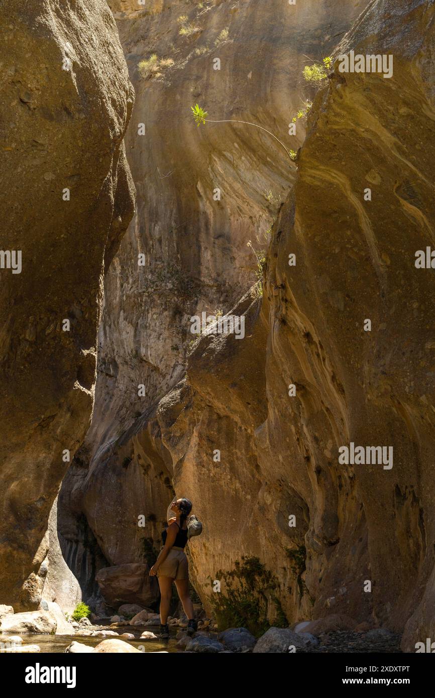 A woman explores a narrow canyon with towering rock walls, showcasing ...