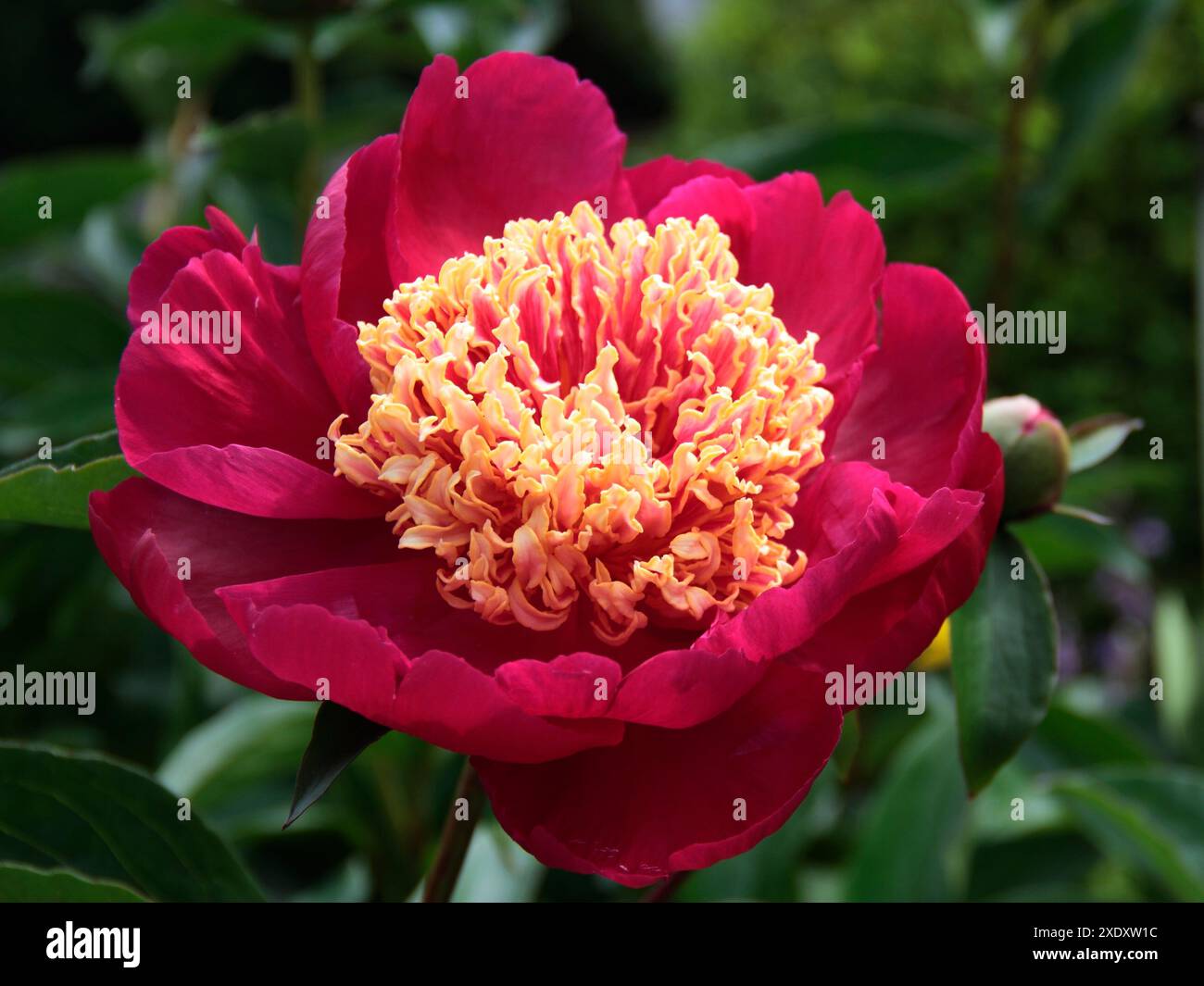 Pentecost detail hi-res stock photography and images - Alamy