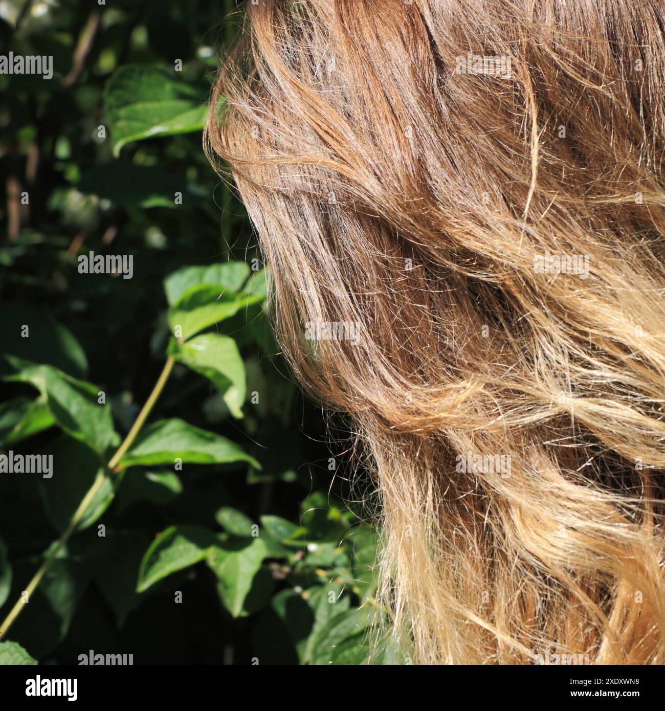 Fair hair hi-res stock photography and images - Alamy