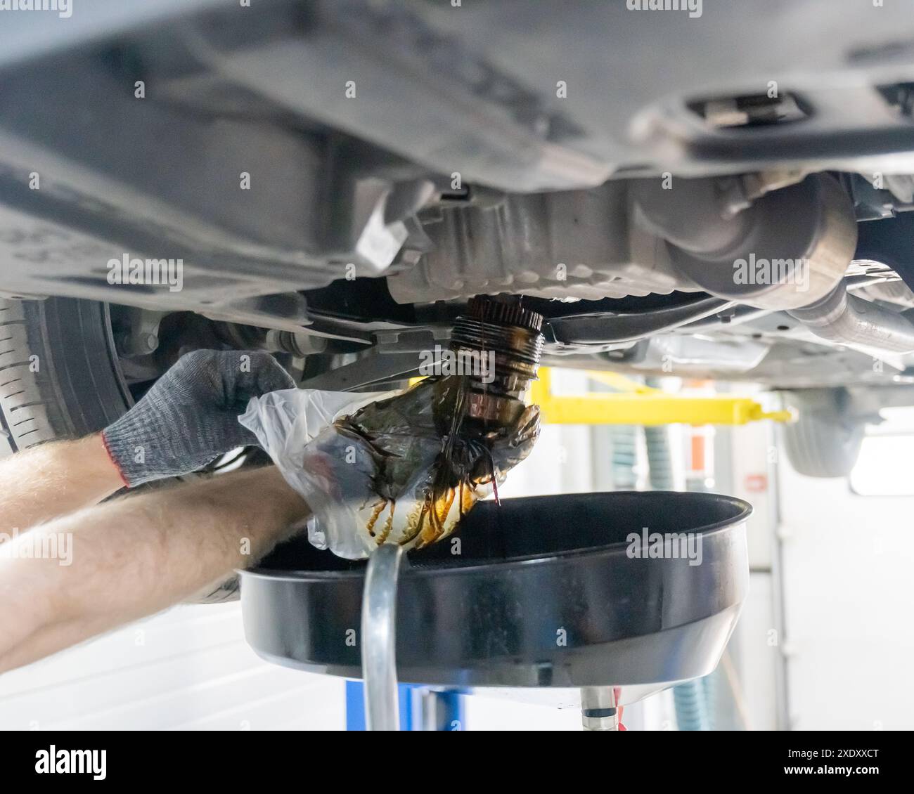 A mechanic drains a car's used engine oil Stock Photo - Alamy